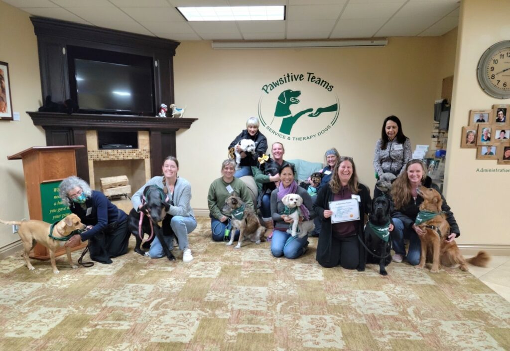 Therapy Dog Programs 2024 Update - Pawsitive Teams
